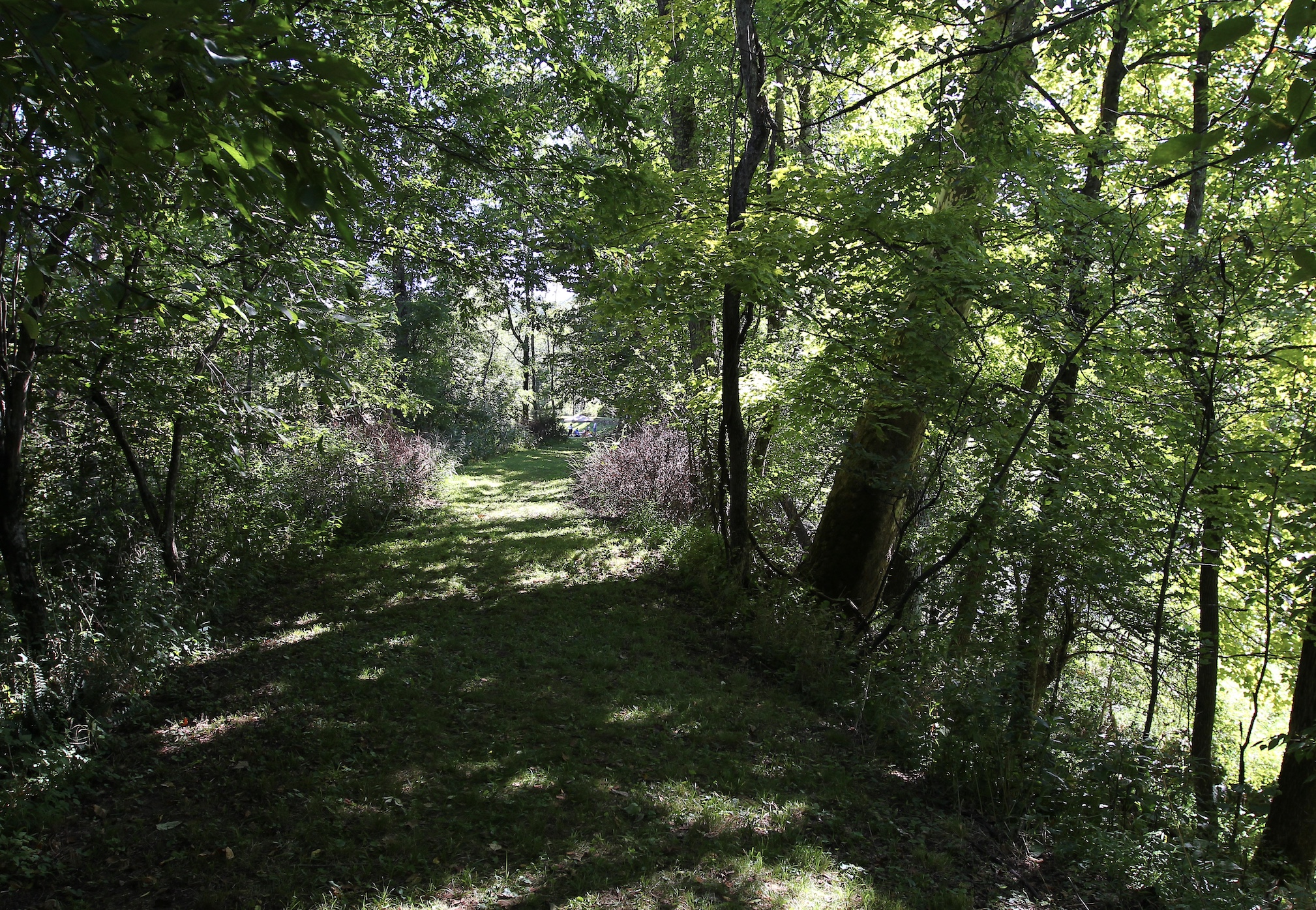 D & H Canal Park at Lock 31 :: Wayne County Historical Society